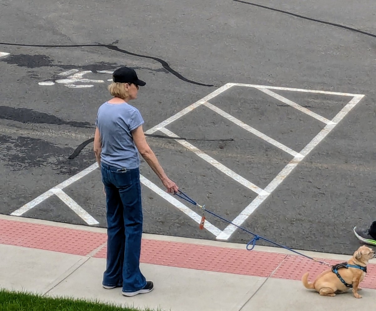 The Greenway – Dan Shiffman